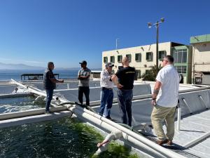 US Seaweed Pioneer BLU3 Signs Trans-Pacific Deal with New Zealand First ...