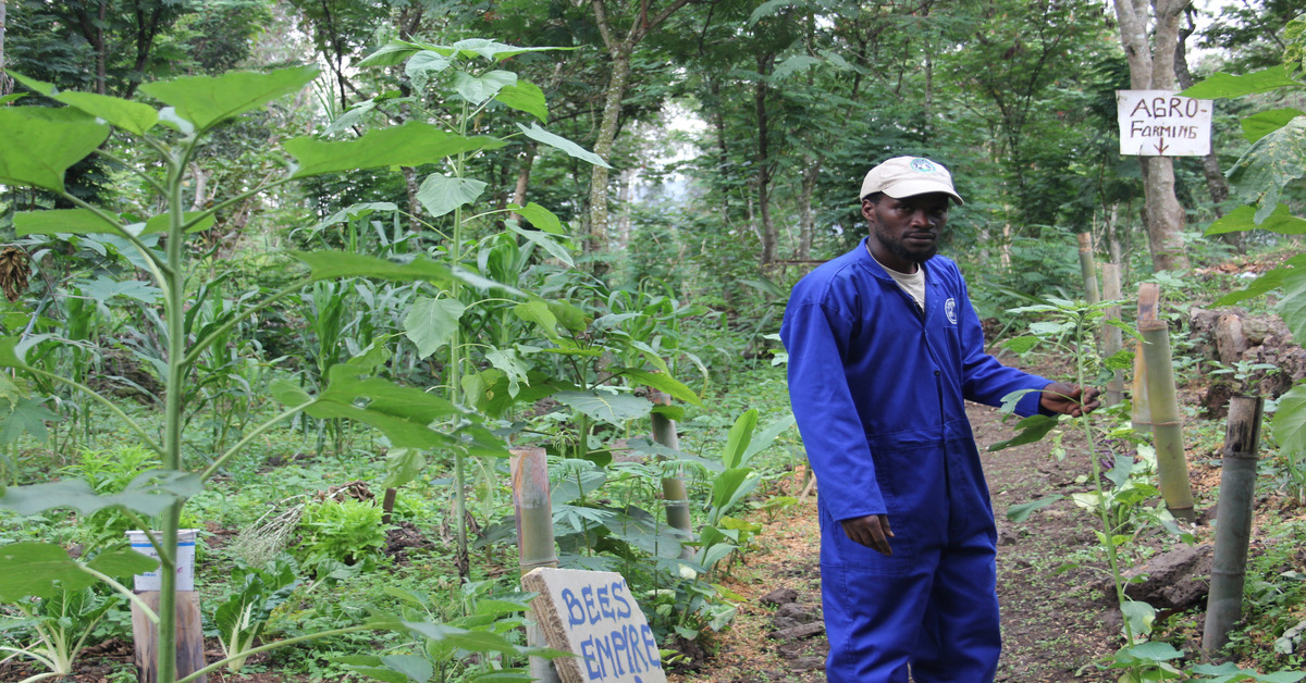 Botanical Gardens in Environmental Conservation Around Volcanoes ...