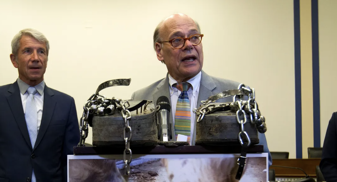 Rep. Steve Cohen Wins Animal Wellness Action Endorsement for Congress ...