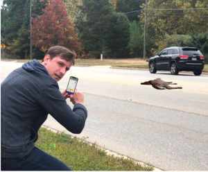The Roadkill Art App introduces a new kind of reporter, a Roadkill Reporter