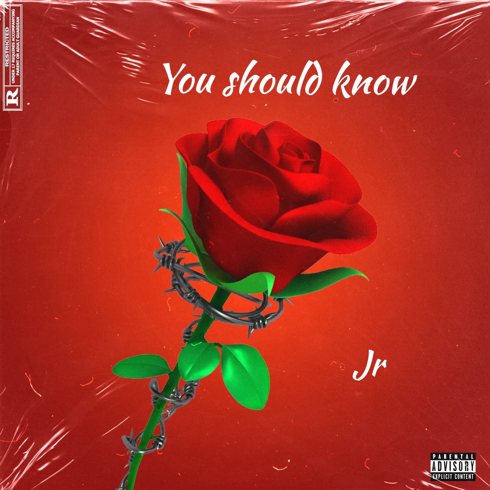 A Voyage of Colorful Rhythms to Groove to Without Halt – JR Stuns Fans ...