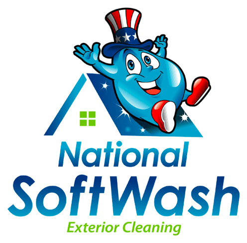 National Soft Logo