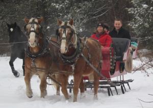 The Bells Are On For Approaching Winter Sleigh Rides At Central ...