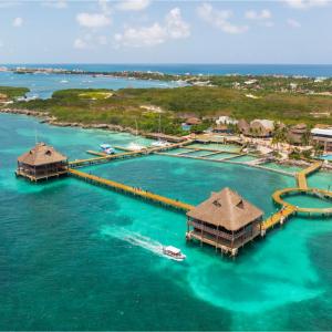 Dolphin Discovery is Awarded as Best Water Park in Mexico at the Travy ...