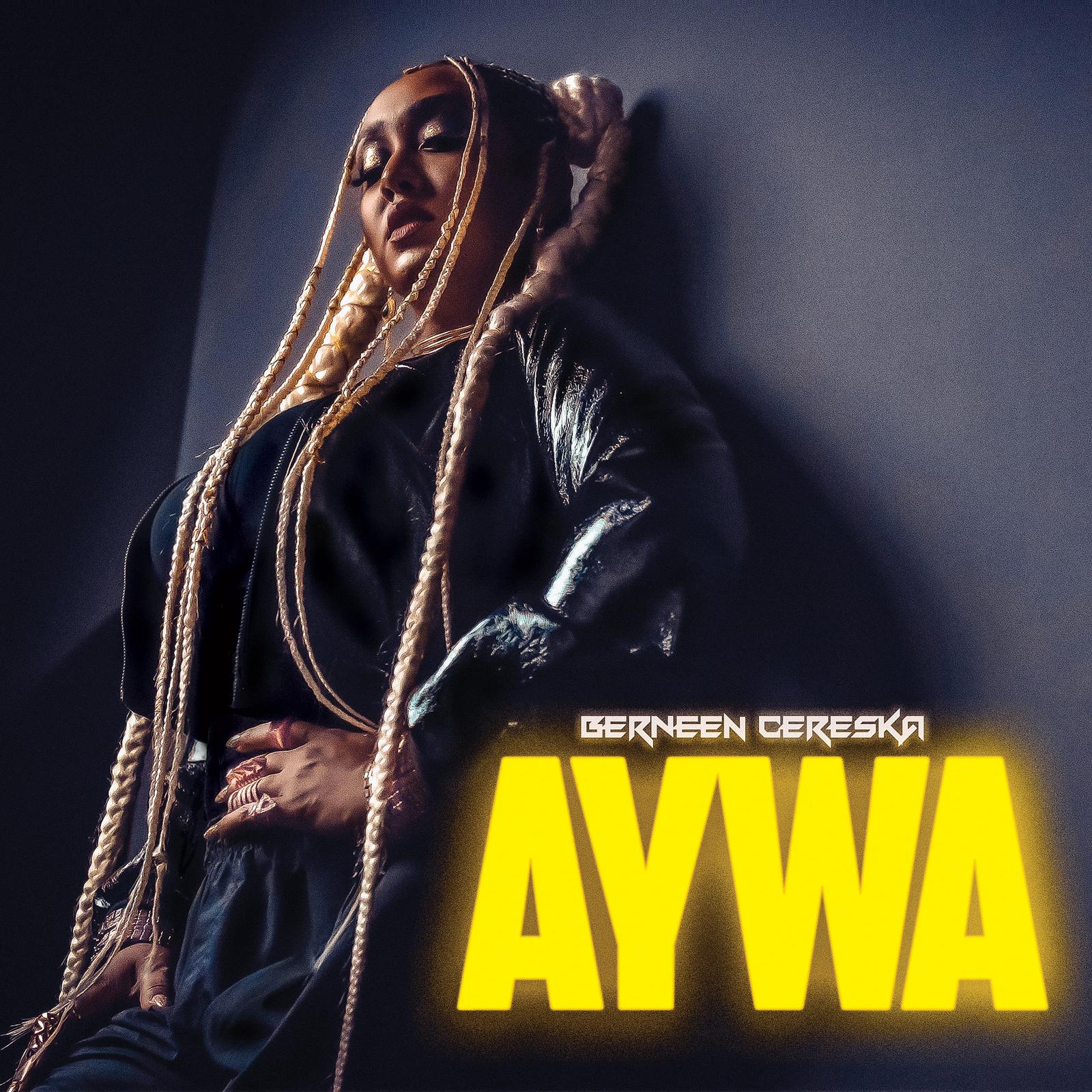 Pop Hit “ Aywa” Celebrates What the Spirit of the Fifa World Cup Qatar ...