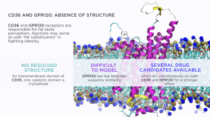 Receptor.AI helps fight obesity by acting on the “sixth taste” receptors