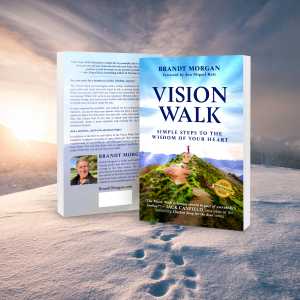 Amazing Answers in Minutes with Brandt Morgan's New Book, Vision Walk ...