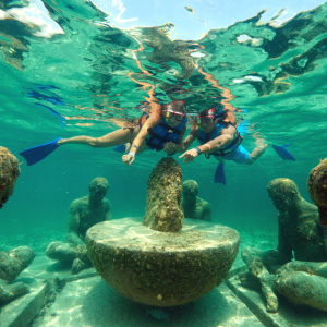 The Dolphin Company: 28 Years of Creating Emotions That Last a Lifetime ...