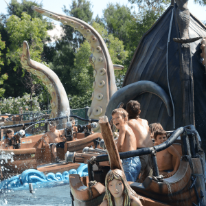 The Dolphin Company: 28 Years of Creating Emotions That Last a Lifetime ...