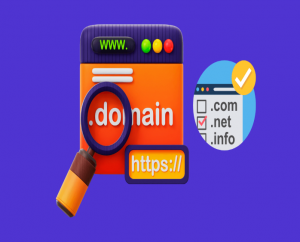How to do a domain search in a few simple steps