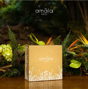 Eco Friendly Gifts for a Sustainable Holiday - Amala Earth