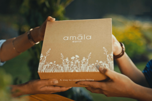 Eco Friendly Gifts for a Sustainable Holiday - Amala Earth