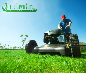 True Lawn Care Inc. Offers a Free Quote to San Diego Homeowners