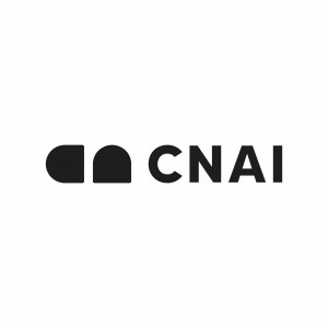 CNAI Heads to CES2023 with Synthetic Data - AFV NEWS