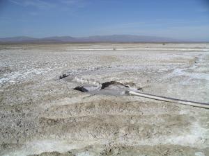 Salt Partners signed a contract with California Supreme Salt for ...