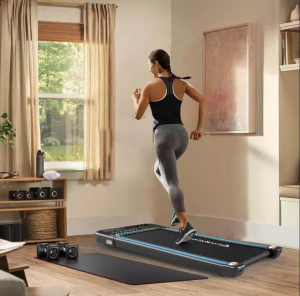 CITYSPORTS Treadmill – One Of The Best Under Desk Treadmill For A ...