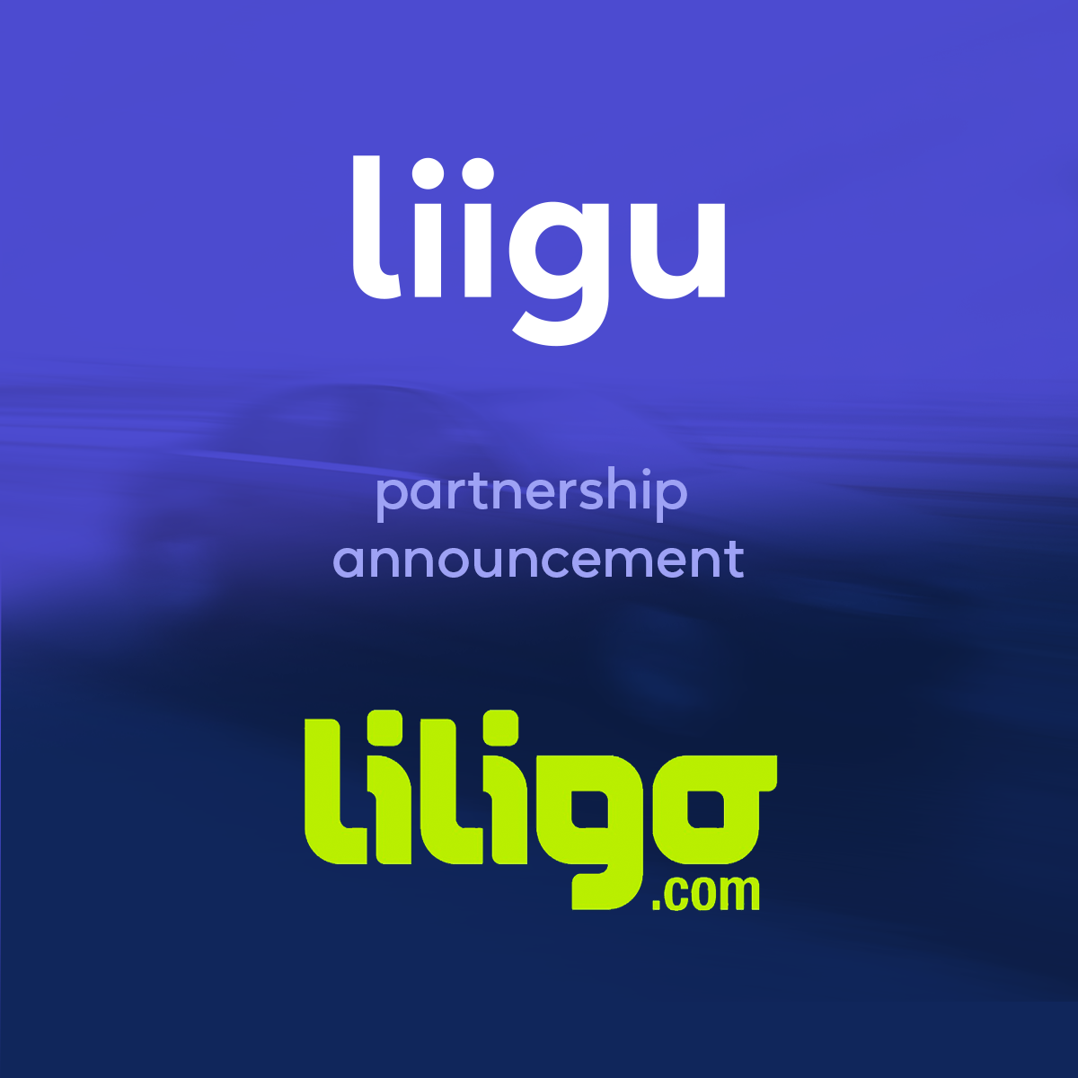 Liigu and Liligo start strategic cooperation to expand the range of ...