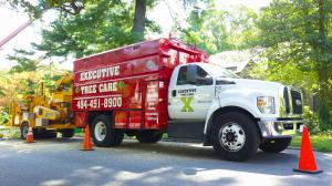 Executive Tree Care Announces it's use of the Arbor Day Foundation to ...
