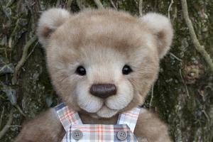 Unravelling the secret of the comforting power of teddy bears