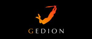 Pegasus Intelligence Partners with Gedion to Bring the Most Advanced ...