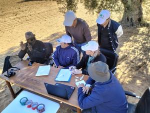 CONTRIBUTIONS OF A CENTURY-OLD OLIVE TREE TO CLIMATE AND SOIL