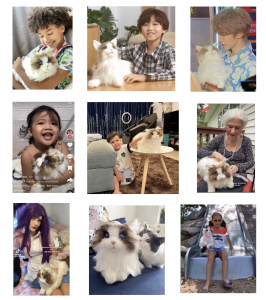 Elephant Robotics Inc. Announces the Launch of New metaCat with ...