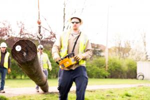 ARCOS launches two, new products: ARCOS Mobile Workbench for ...