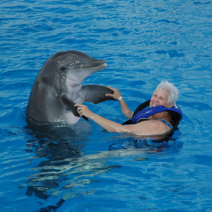 MARINELAND, THE WORLD'S FIRST OCEANARIUM IN UNITED STATES OF AMERICA ...
