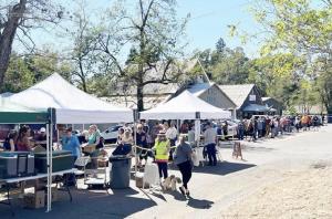 Akshaya Patra Foundation USA Launches Food Recovery Initiative to ...