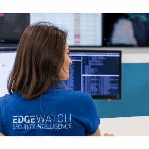 EdgeWatch: Visualize A Company's External Attack Surfaces for Free