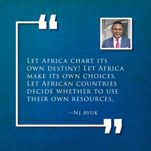 NJ Ayuk: A Trailblazer in Africa's Energy Sector - AFV NEWS