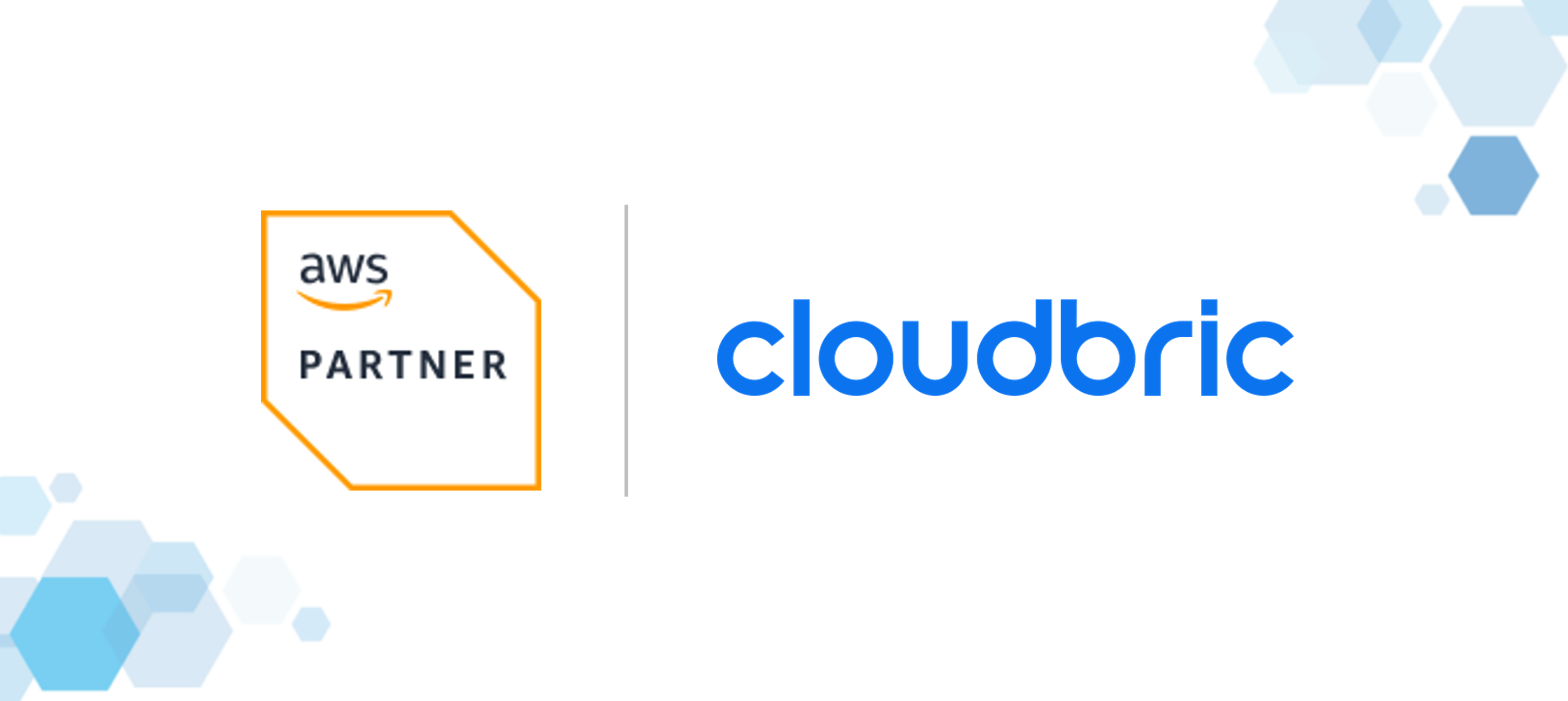 Cloudbric Strengthens Global Reach by Offering Professional Services on ...