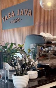 McKinney, TX Hero's Journey from War to Pizza Restaurant Owner: Yaba ...