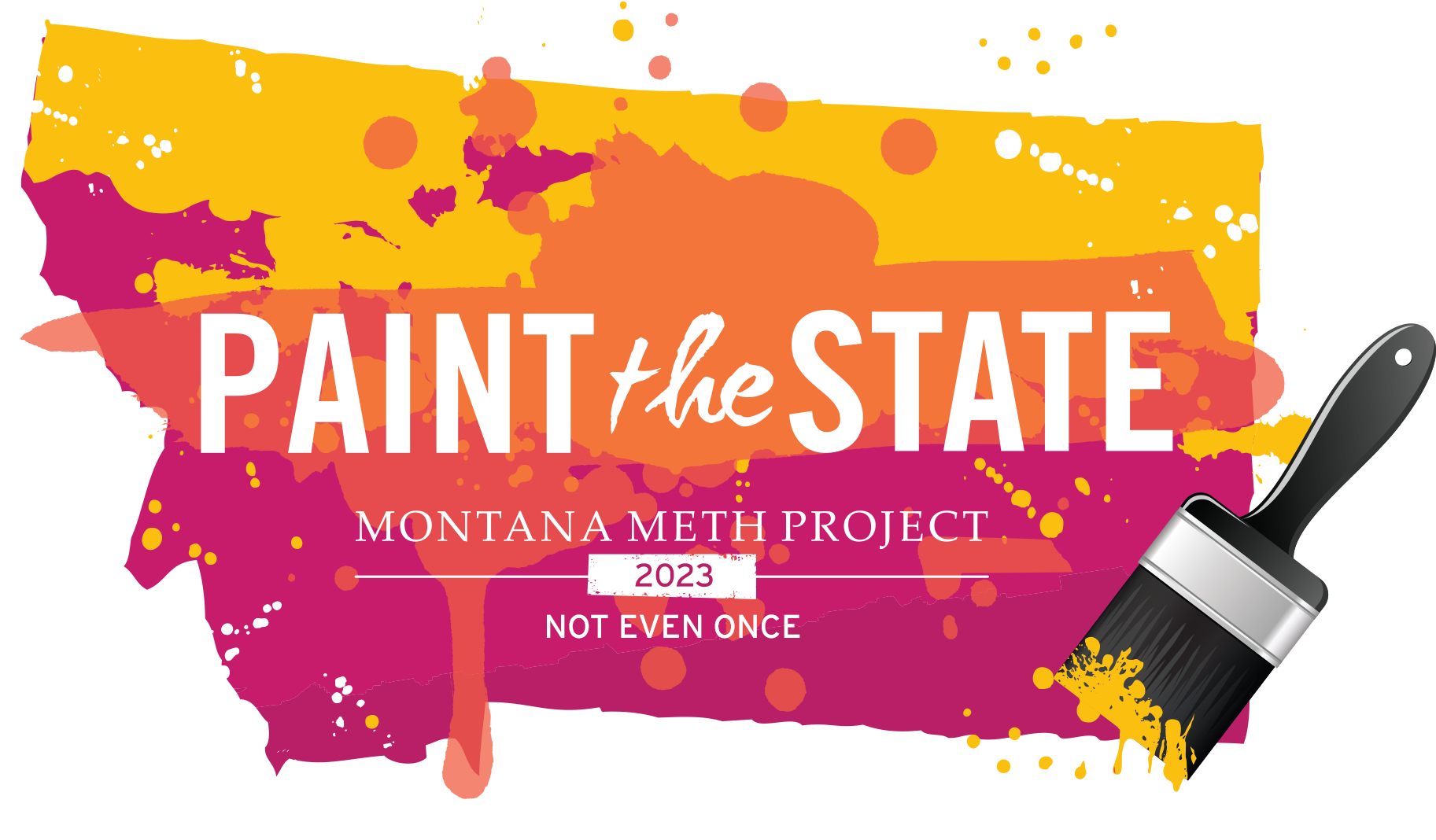 Meth Project Logo