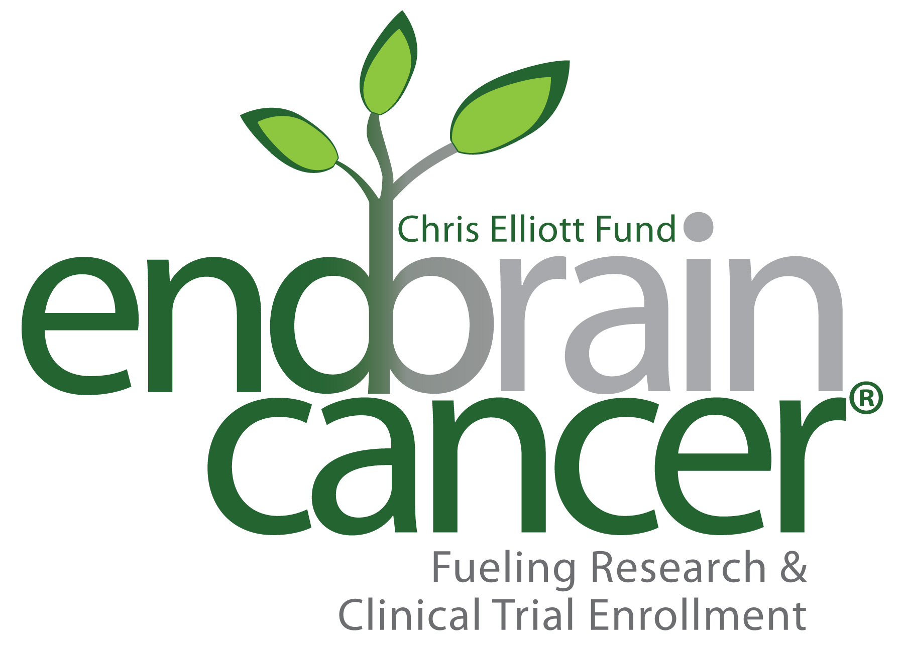 Cure Brain Cancer Foundation Logo FAQs Cure Brain Cancer Foundation