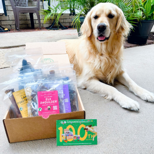 Real Dog Box is Celebrating Eight Years of Unmatched Prices and 100 ...