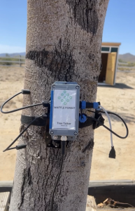 Waffle Forest: Tackling Arizona's State of Emergency with 10 Million Trees