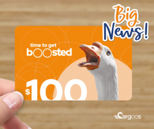 Cargoos Logistics Unveils the 'bOOst Card': A Ticket to Seamless ...
