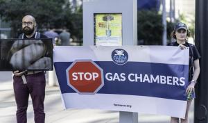 Activists show disturbing slaughterhouse gas chamber footage outside ...
