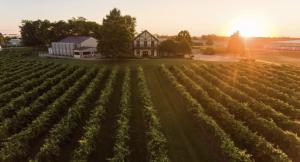 Tennessee Wineries Named Winners at two International Wine Competitions ...