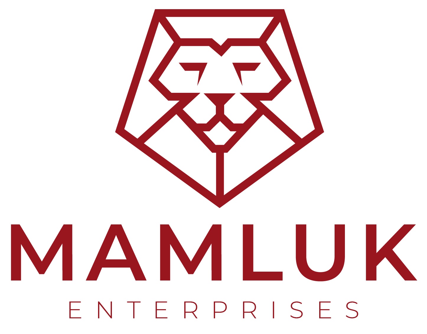 A New Era Begins: Mamluk Enterprises Announces its Official Launch as a ...