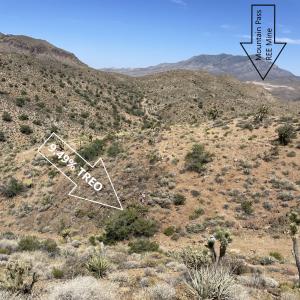 UPDATE: INTRODUCING THE FIELD EXPLORATION TEAM FOR THE MOJAVE REE PROJECT