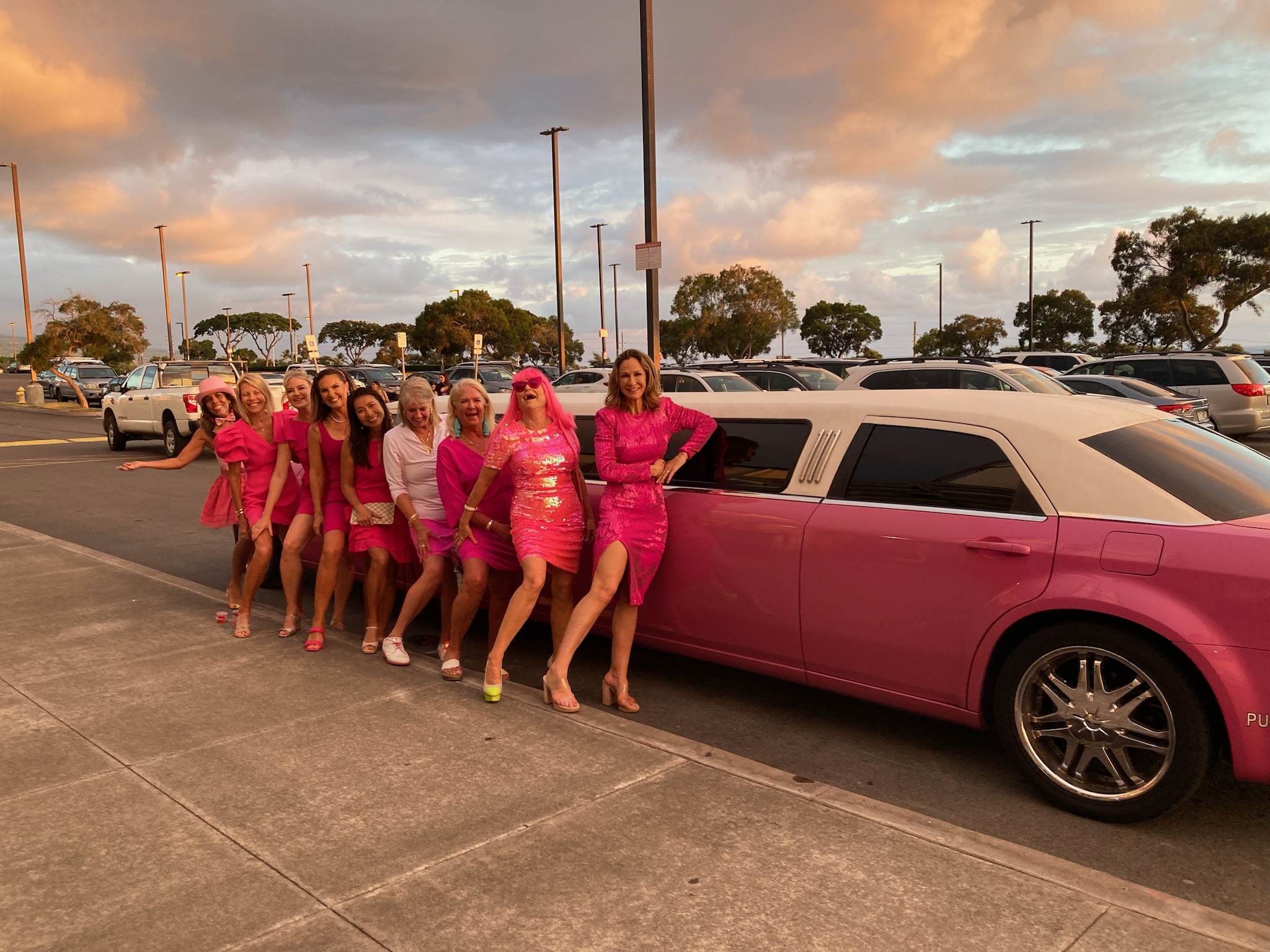 300 Pink Limo Houston