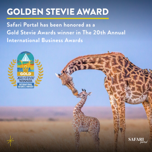 Safari Portal Wins Gold Stevie® Award in 2023 International Business Awards®