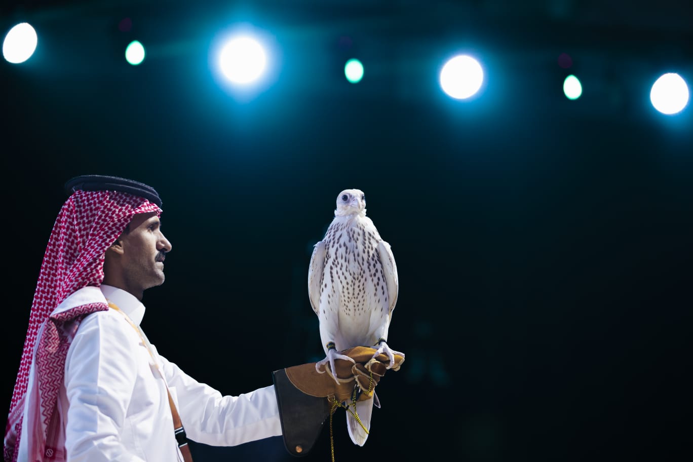 American Falcon Sold for $146,000, the Most Expensive in the ...