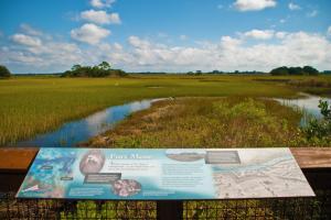 Telling the Incredible Story of Americaâ€™s First Free Black Settlement ...