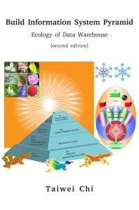 Build Information System Pyramid: Ecology of Data Warehouse by Taiwei ...