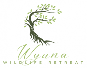 Wyuna Wildlife Retreat Press Releases - EIN Presswire - Press Release Distribution Service