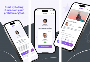 Gini Ushers in a New Era of AI-Powered Client-to-Professional Matching ...