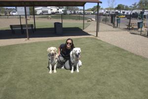 Unleashing Furry Fun: CRR Hospitality Rolls Out K9 Corner, the Ultimate ...